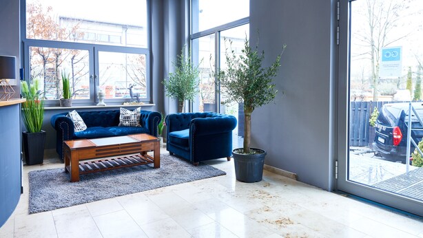 Uma sala de estar moderna com um sofá azul, uma mesa de centro de madeira e plantas em vasos.