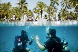 Vista subaquática de uma piscina com palmeiras e estruturas com telhado de palha ao fundo.