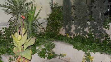 Pormenores do interior