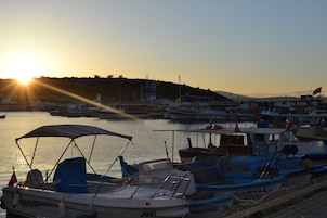 Marina