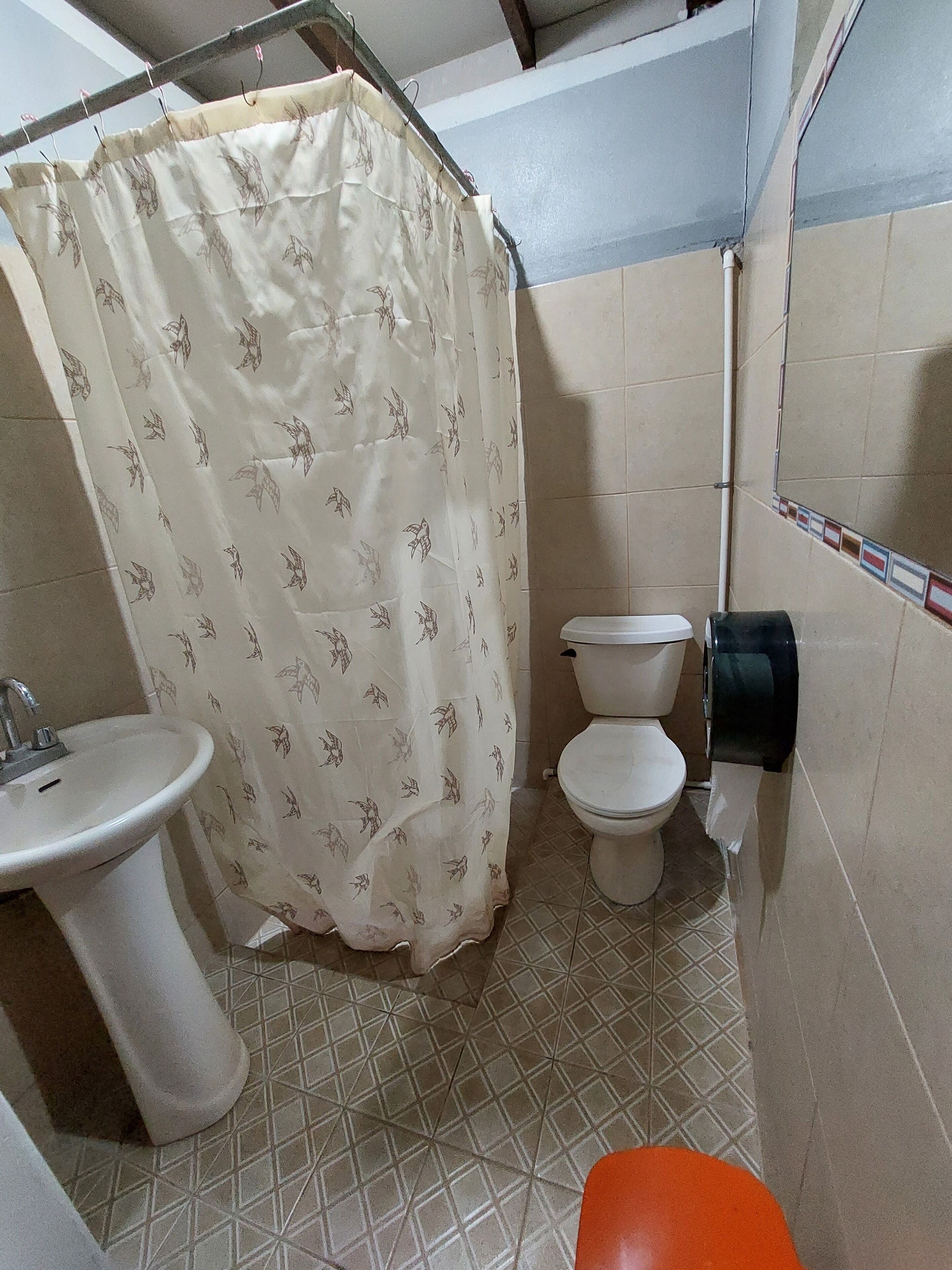 Um banheiro pequeno com vaso sanitário, pia e cortina de chuveiro.