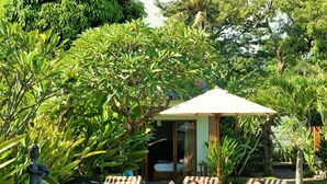 Área de piscina com espreguiçadeiras e um guarda-sol, rodeada por vegetação exuberante.