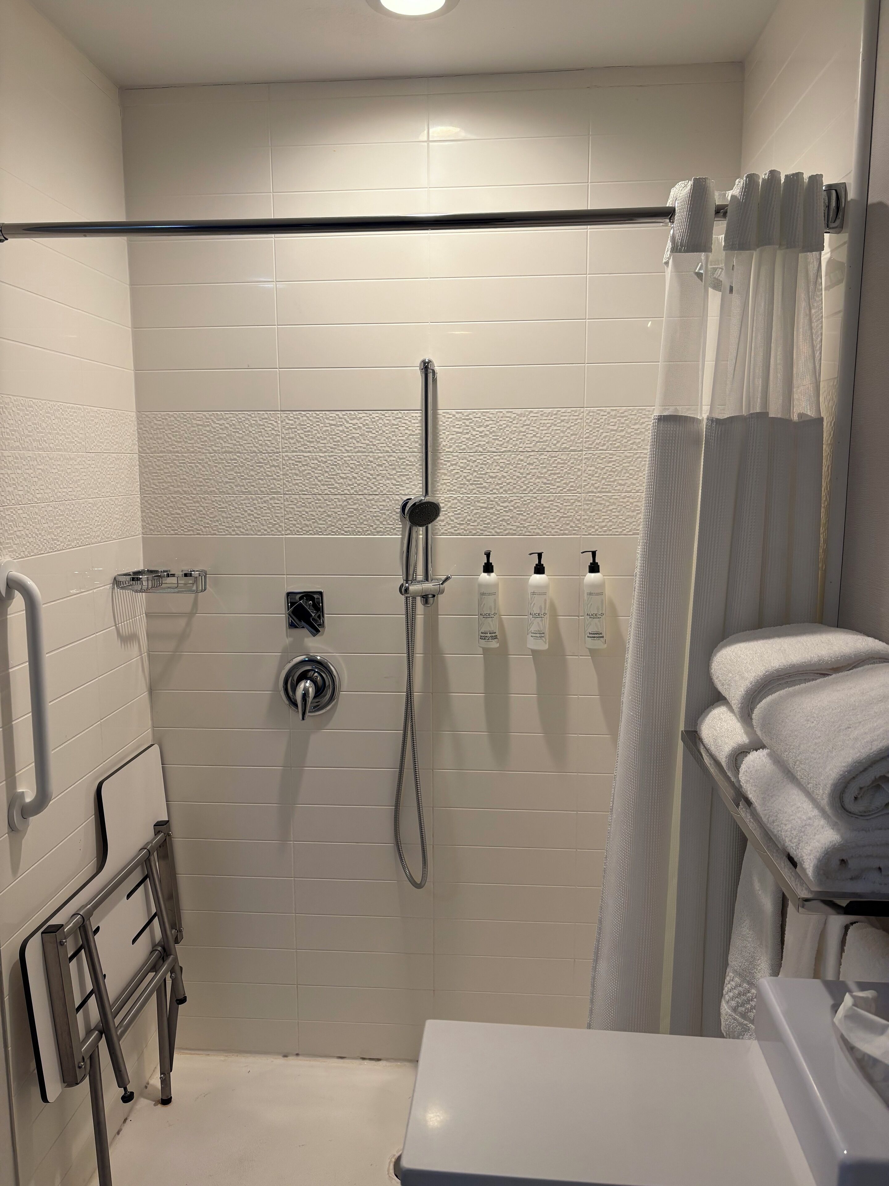Área de chuveiro com chuveiro manual, porta-toalhas com toalhas dobradas e barra de apoio para segurança.