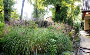 Jardim