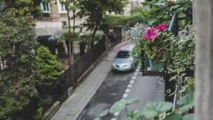 Vista da rua com um prédio ao fundo, um carro estacionado no acostamento e um vaso suspenso com flores.