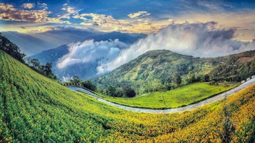 Vista panorâmica de um vale exuberante com campos em socalcos e uma estrada sinuosa.