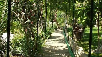 Jardim