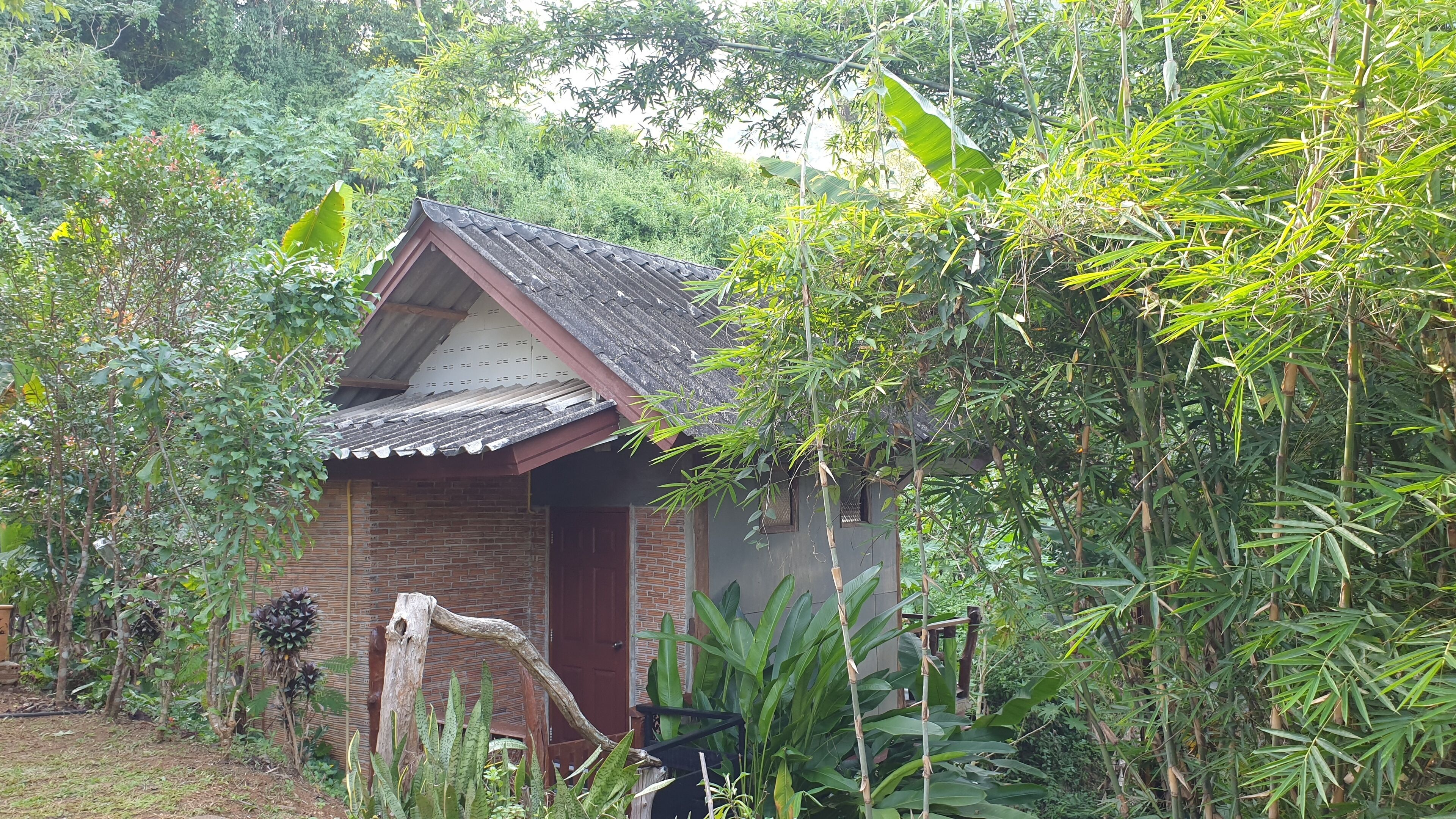 Uma pequena casa de tijolos com telhado de cerâmica, rodeada por vegetação densa e bambu.