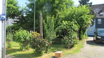 Um jardim com diversas plantas e um toco de madeira.