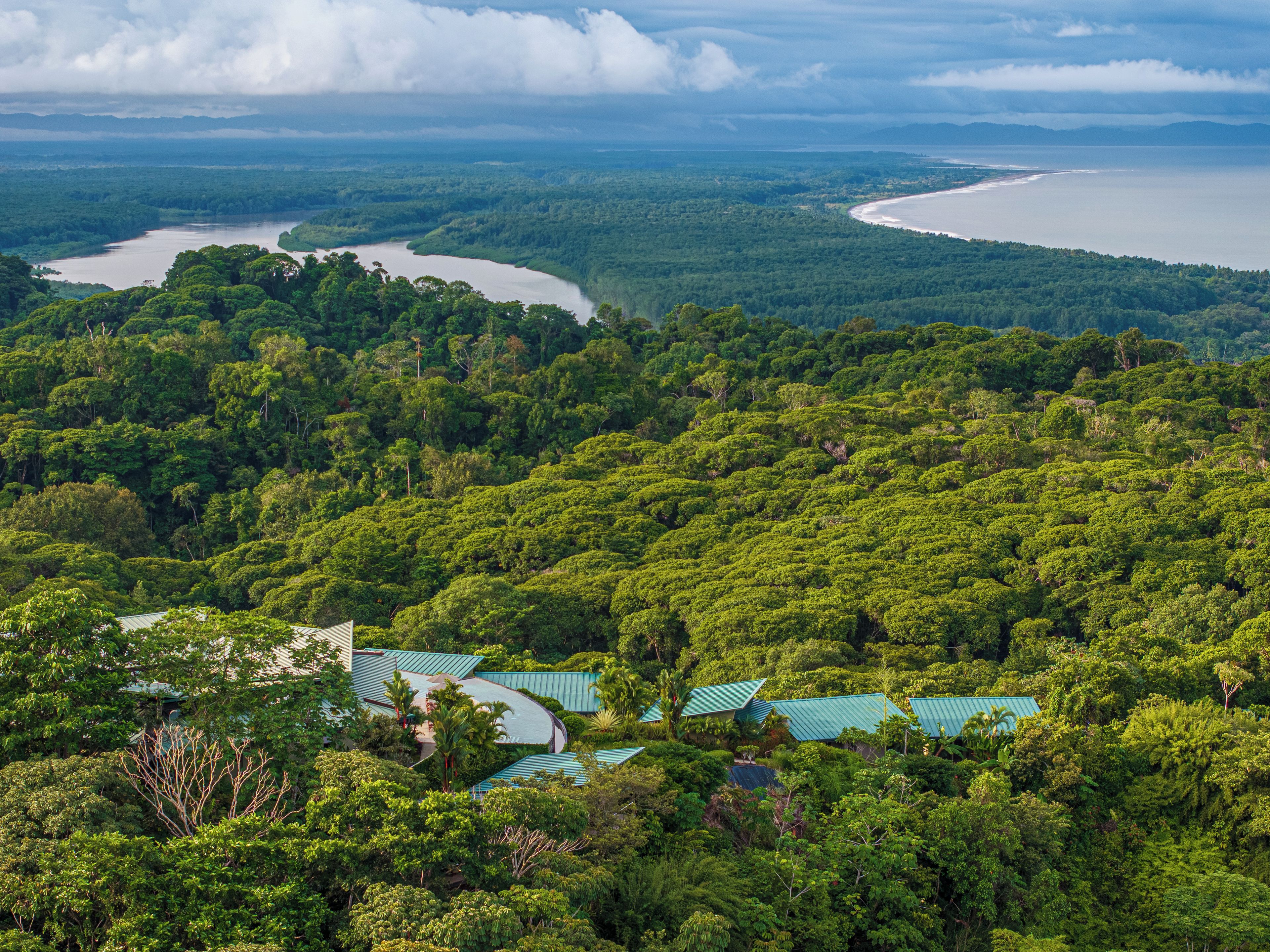 Paisagem verdejante com rio, floresta densa e um pequeno conjunto de edifícios com telhados verdes.