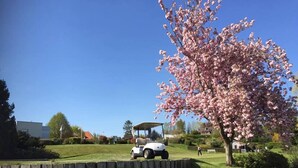 Um campo de golfe com uma placa indicando 'Golf d'Arras' e um carrinho de golfe em primeiro plano.