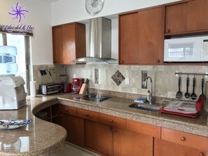 Apartamento Premium, 1 quarto, varanda | Cozinha privada | Um frigorífico/congelador grande, um micro-ondas, uma placa de cozinha 