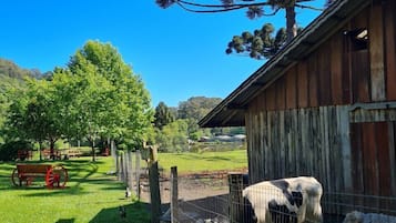 Vista para o jardim