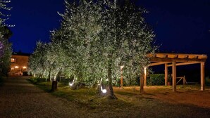Área externa noturna com uma grande árvore iluminada por luzes, uma pérgula coberta e um edifício ao fundo.