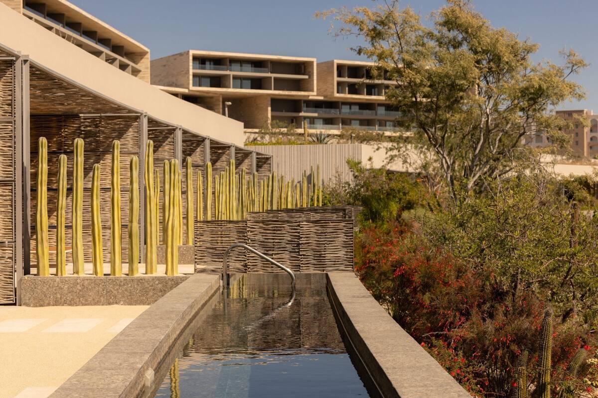 Um edifício moderno com piscina, rodeado por cactos e plantas típicas do deserto.