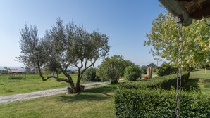 Um jardim bem cuidado, com uma oliveira imponente, um caminho de cascalho e sebes podadas.