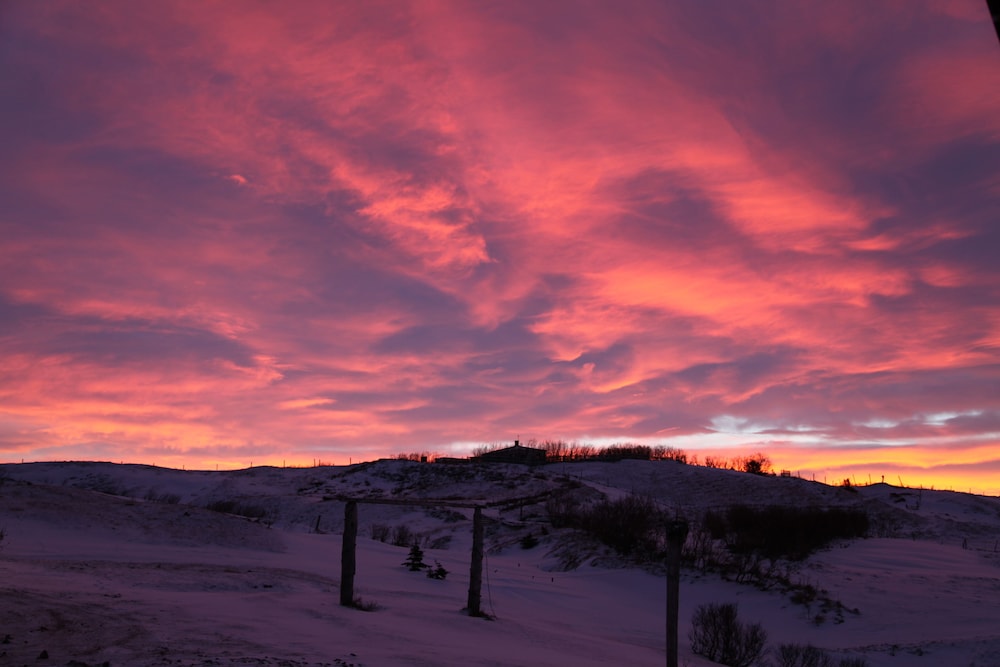 Bessastadir Guesthouse - Islande