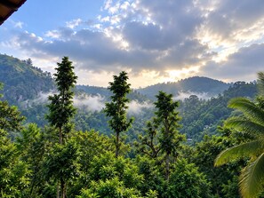 Uma paisagem verdejante e exuberante, com diversas árvores e montanhas ao fundo.