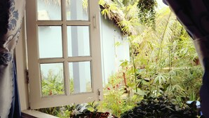 Janela com vista para um jardim exuberante, com diversas plantas e uma estrutura de telhado de palha.