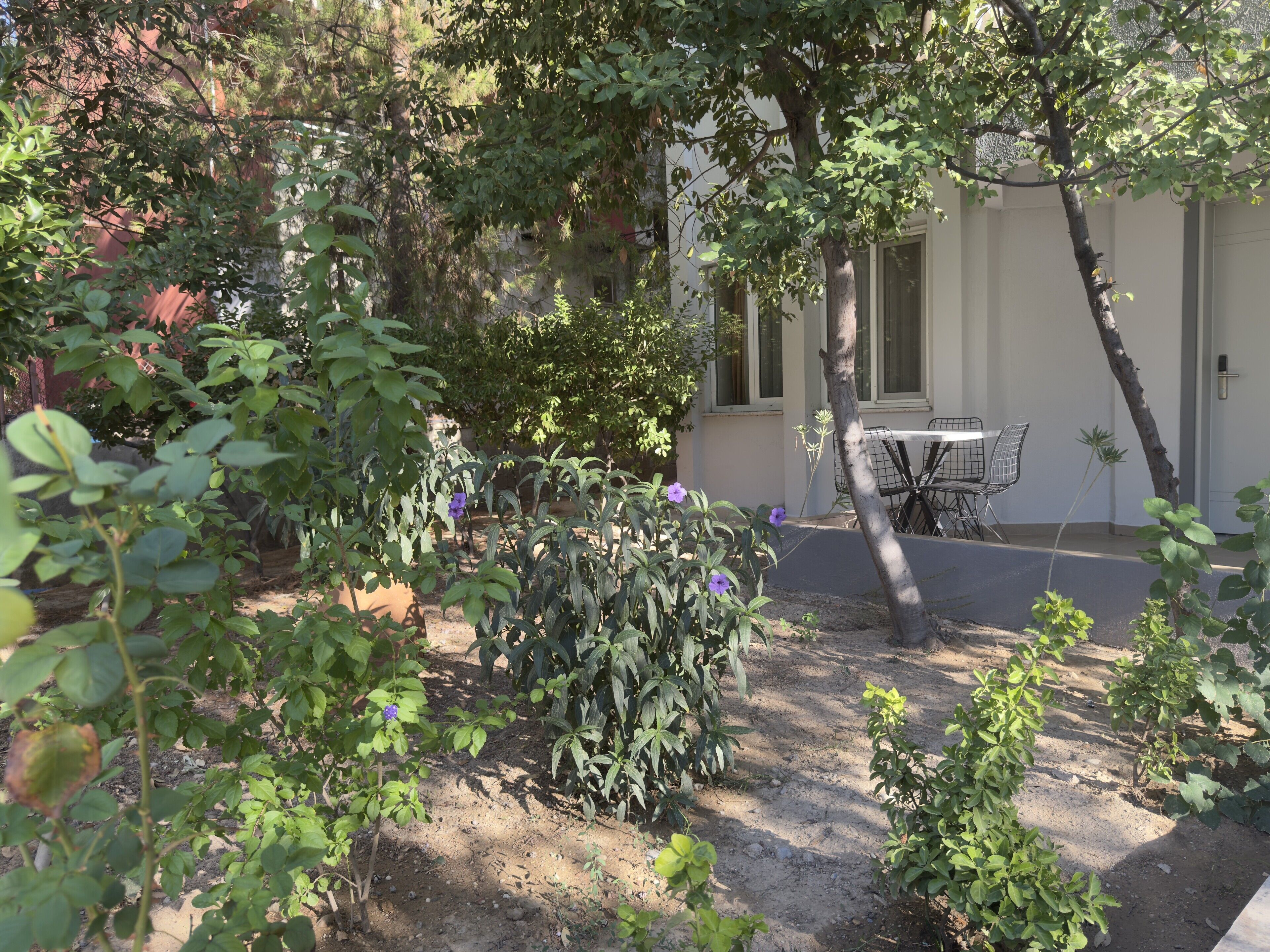 Apartamento Básico, varanda, vista para a piscina | Vista do quarto