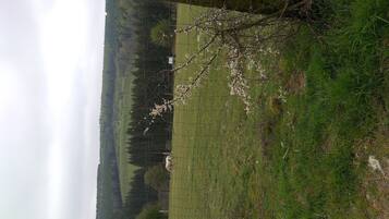 Paisagem rural com uma ponte de pedra, um campo cercado e uma colina ao longe.