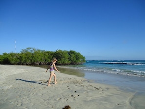 Uma praia com céu limpo, uma pessoa caminhando e uma área de mangue.