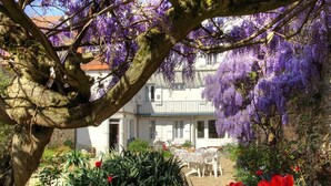 Um jardim com flores roxas, uma árvore e um edifício ao fundo.