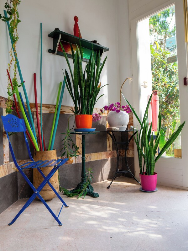 Villa Les Palmes - Tunis