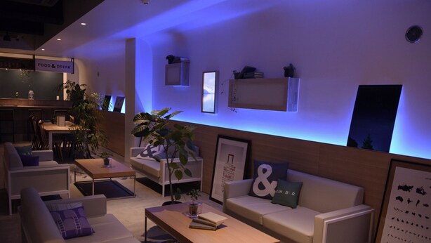 Uma área de estar moderna com sofás, uma mesa de centro e uma estante de livros.