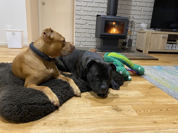 90 Mile Beach House & Villas - Gippsland