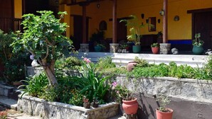 Um edifício amarelo com telhado em cerâmica, parede de pedra e plantas em vasos.