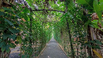 Terrenos do alojamento