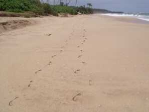 Perto da praia, autocarro grátis para a praia 