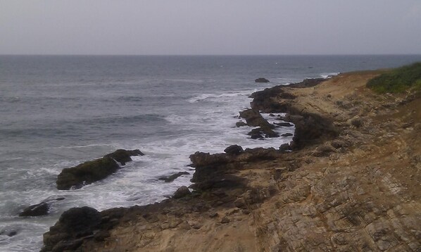 Perto da praia, autocarro grátis para a praia 