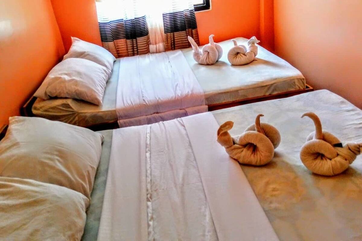 Quarto de hotel com duas camas, cada uma com roupa de cama e almofadas brancas. Toalhas em formato de cisne decorativo sobre as camas.