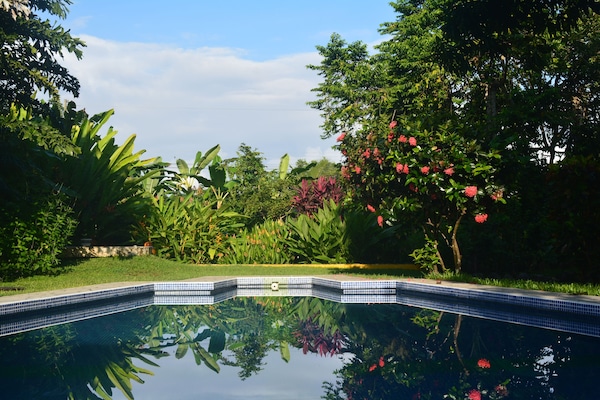 Piscina externa, espreguiçadeiras