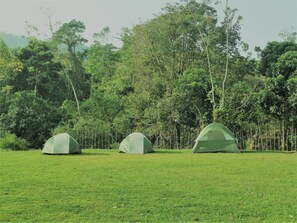 2 piscinas exteriores, uma piscina natural, espreguiçadeiras 