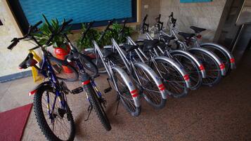 Várias bicicletas estacionadas em ambiente interno, com um vaso de planta e um tapete vermelho à vista.