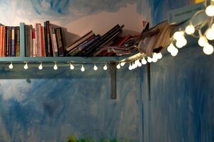 Uma estante com livros e uma guirlanda de luzes.