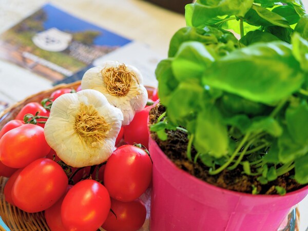 Villa Tanca With Ac, Terrace - Levanto