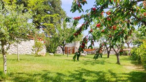 Um jardim com várias árvores e um muro de pedra ao fundo.