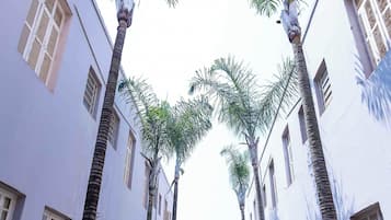 Jardim