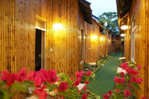 Área da propriedade