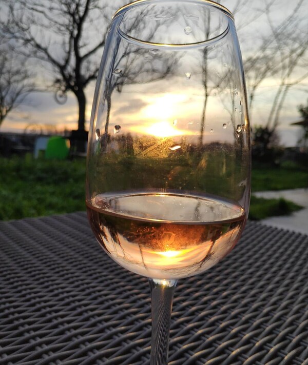 Au Vélo Dans L'arbre - Saint-Émilion