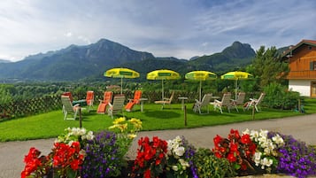 Vista para a montanha