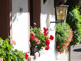 Terraço/pátio interior