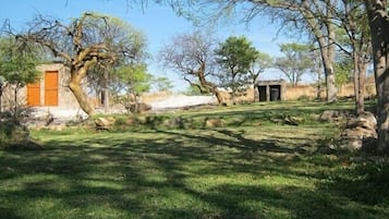 Jardim