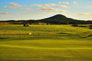 Golfe