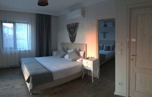 Suite | Secretária, ferro/tábua de engomar, Wi-fi grátis