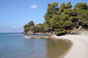 Uma praia com águas cristalinas, areal arenoso e árvores verdes densas.